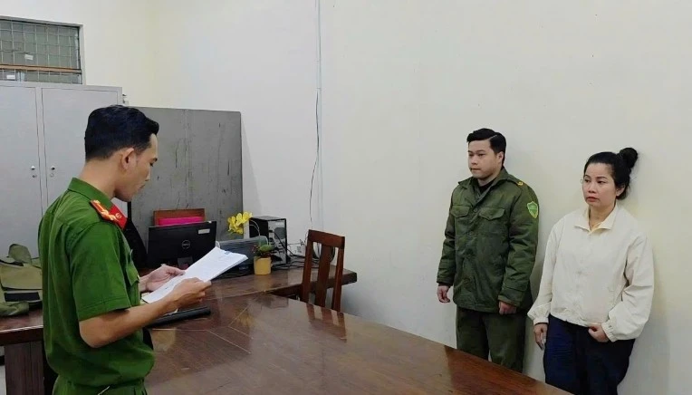 Đà Nẵng triệt phá đường dây buôn lậu hơn 90.000 tôm hùm giống